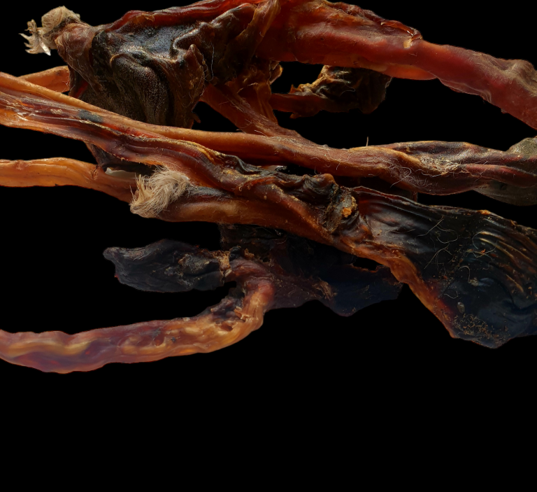 KANGAROO TENDONS - Max's 100% Natural Dog Treats & Healthy Choices