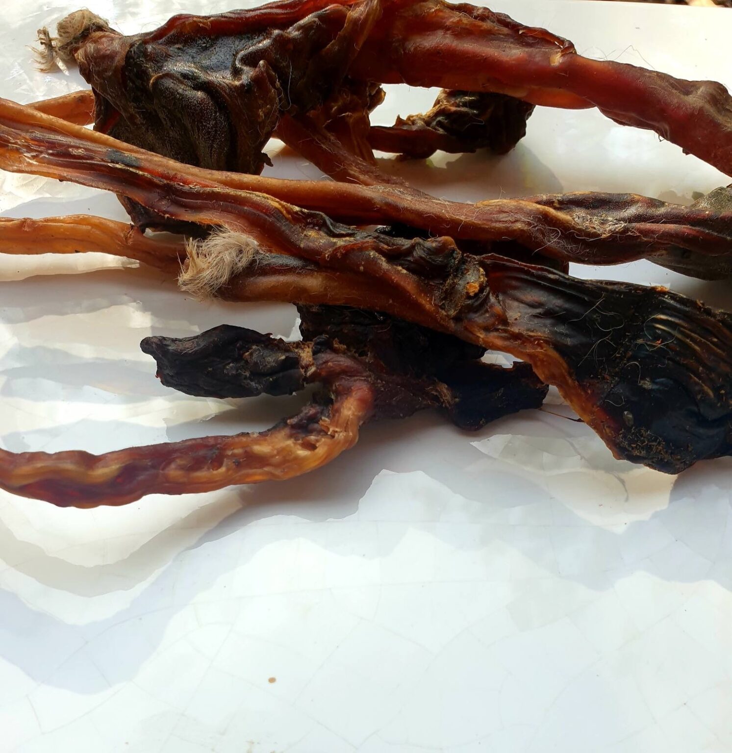 KANGAROO TENDONS - Max's 100% Natural Dog Treats & Healthy Choices