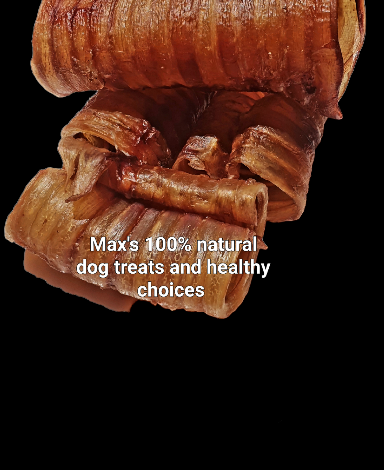 FRESHLY FRIED BEEF TRACHEA - Max's 100% Natural Dog Treats & Healthy ...